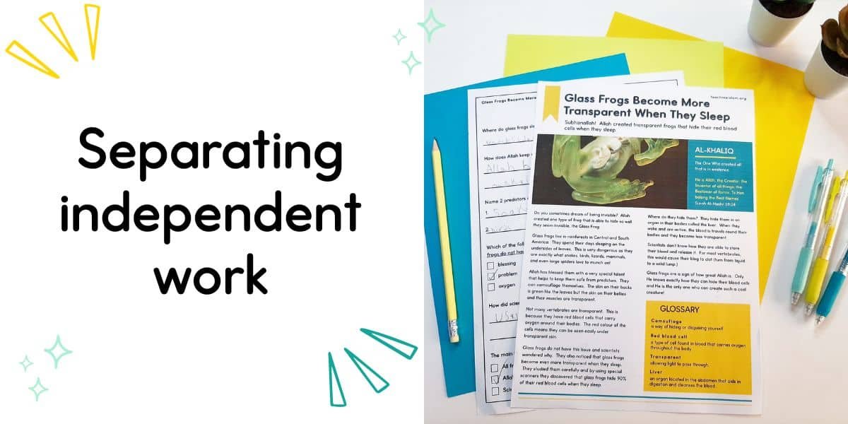 Homeschool Organization and Structure Strategies