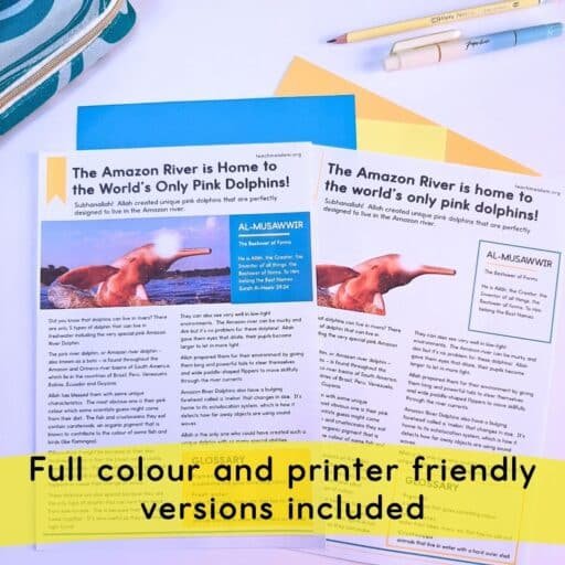 Unique Animals Reading Comprehensions for Muslim Kids - Teach Me Islam